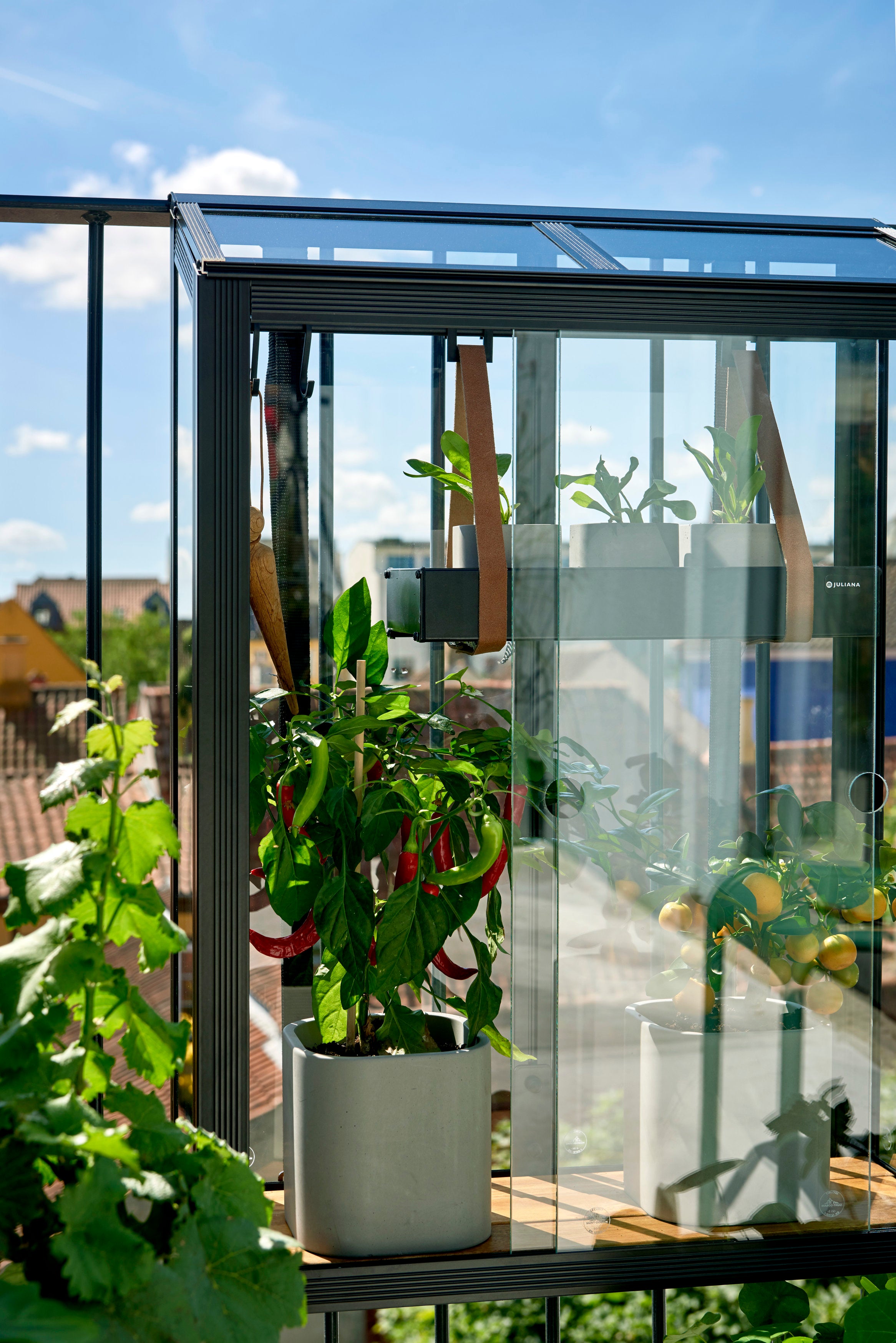 Urban Jungle | Urban Grow | City Garden – Urban Grow UK Ltd