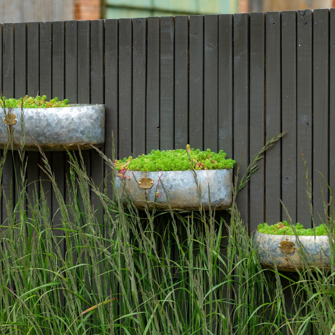 Cardamom Pod Wall Planter Set of Three – Urban Grow UK Ltd