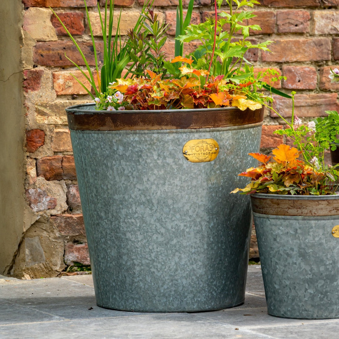 Cardamom Pod Wall Planter Set of Three – Urban Grow UK Ltd