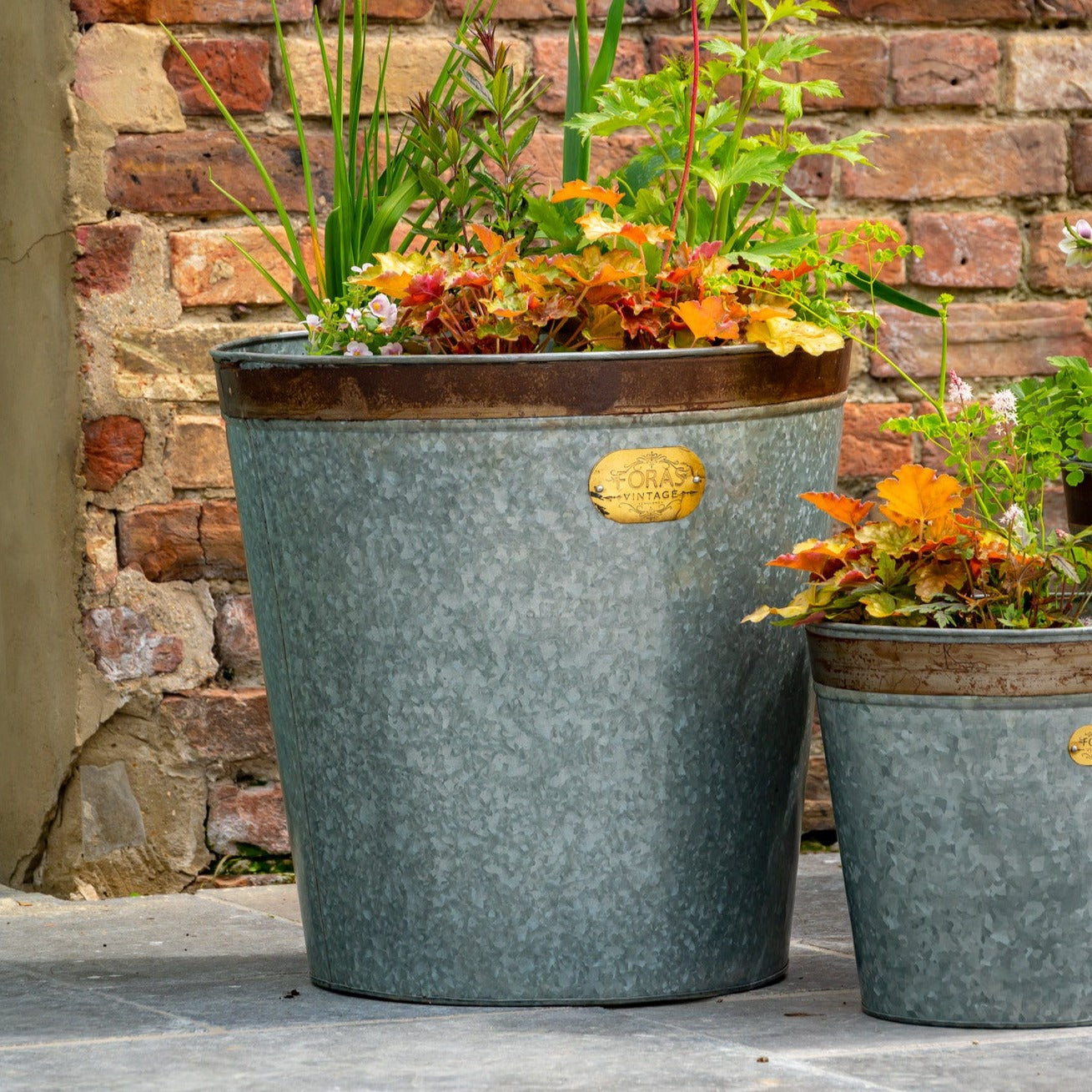 Cardamom Pod Wall Planter Set of Three – Urban Grow UK Ltd