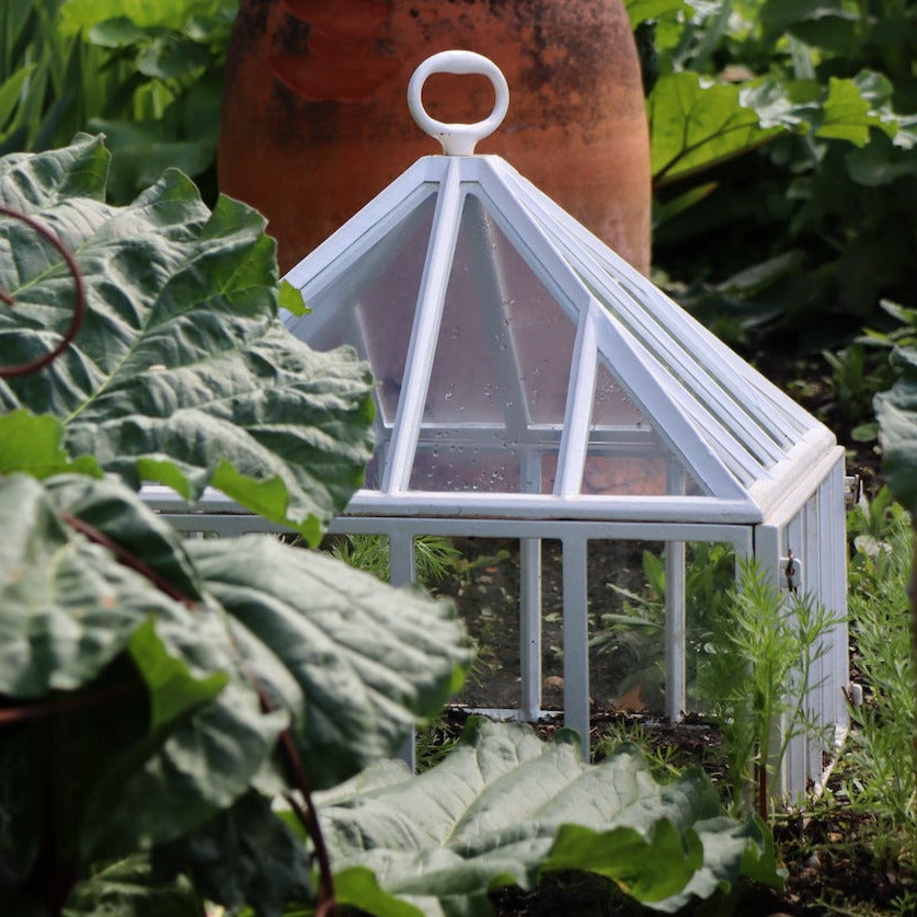 Claverton Cloches Traditional Victorian Garden Cloche – Urban Grow UK Ltd