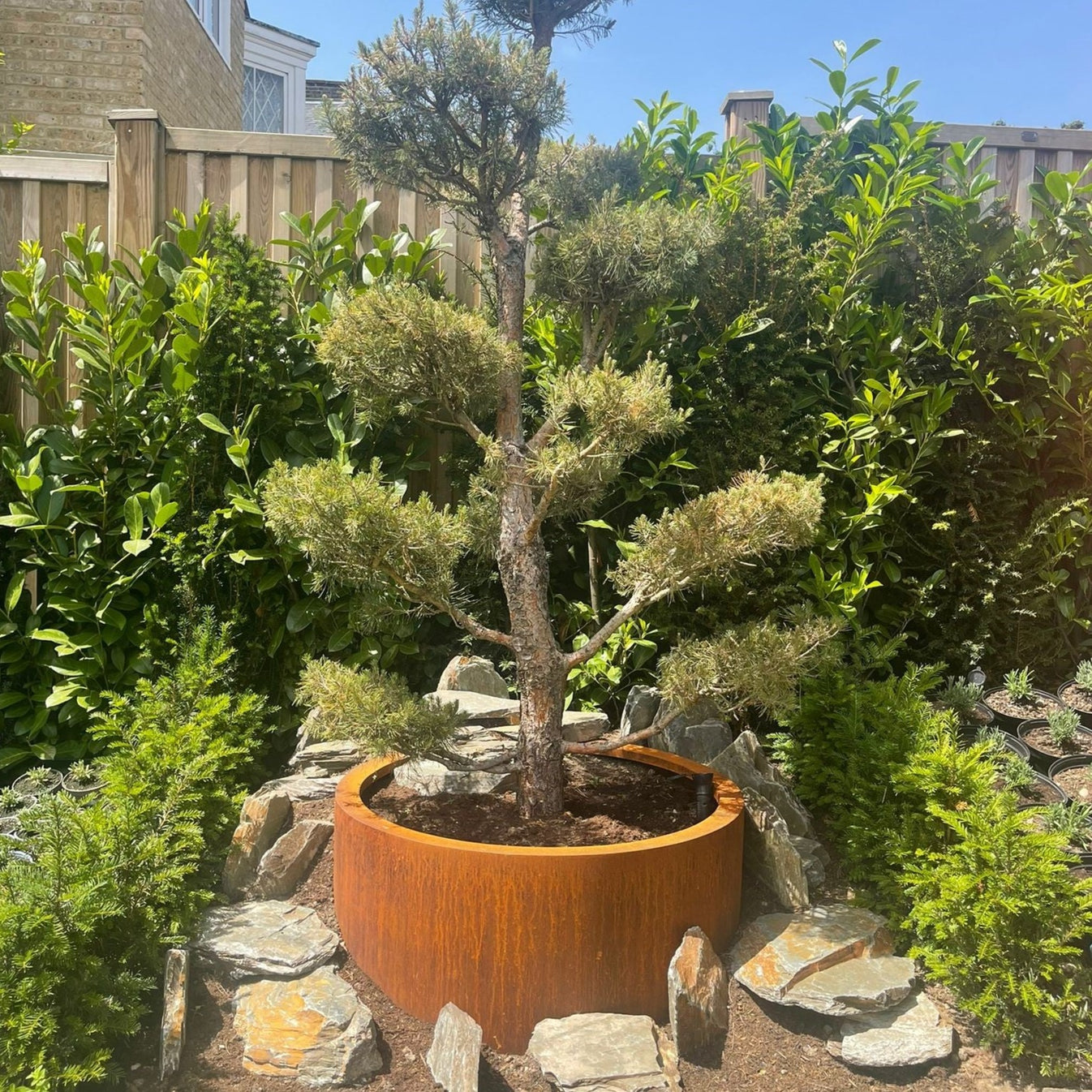 Scampston Corten Steel Cylindrical Planter – Urban Grow UK Ltd