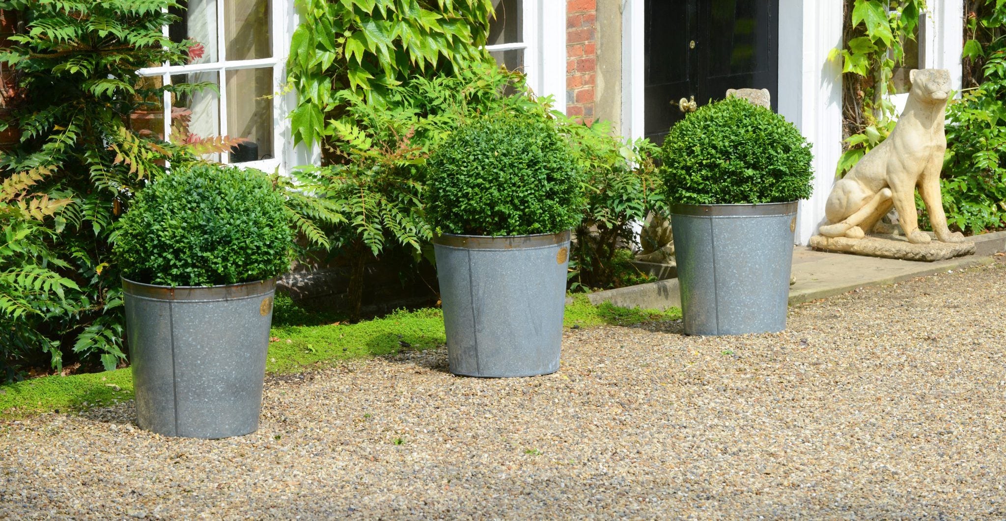 Cardamom Pod Wall Planter Set of Three – Urban Grow UK Ltd