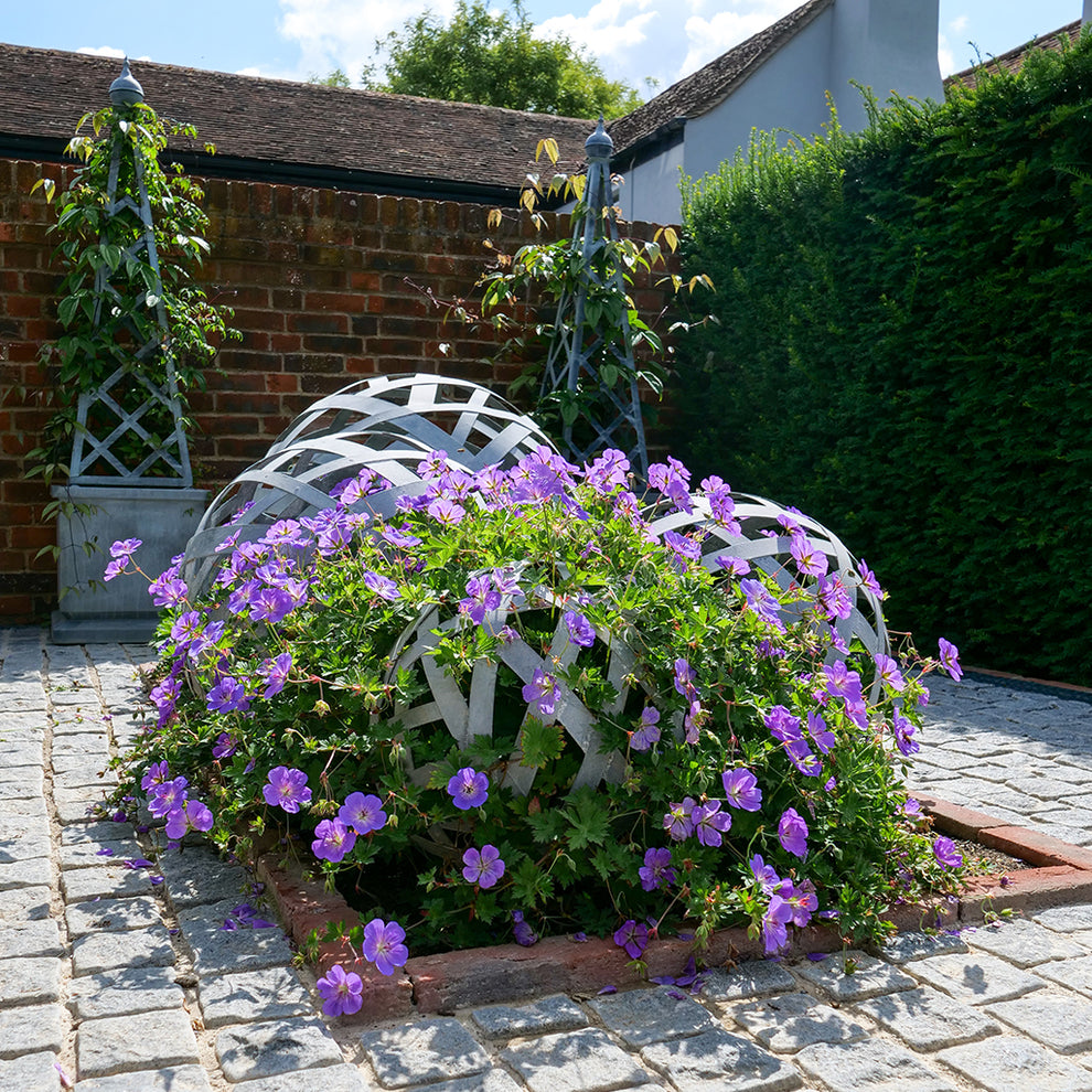 Galvanised Steel Lattice Balls – Urban Grow UK Ltd