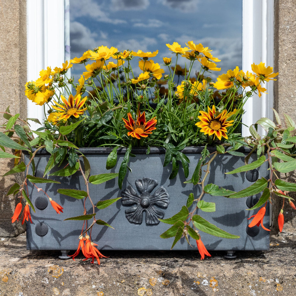 Traditional Galvanised Steel Window Box Planter – Urban Grow UK Ltd