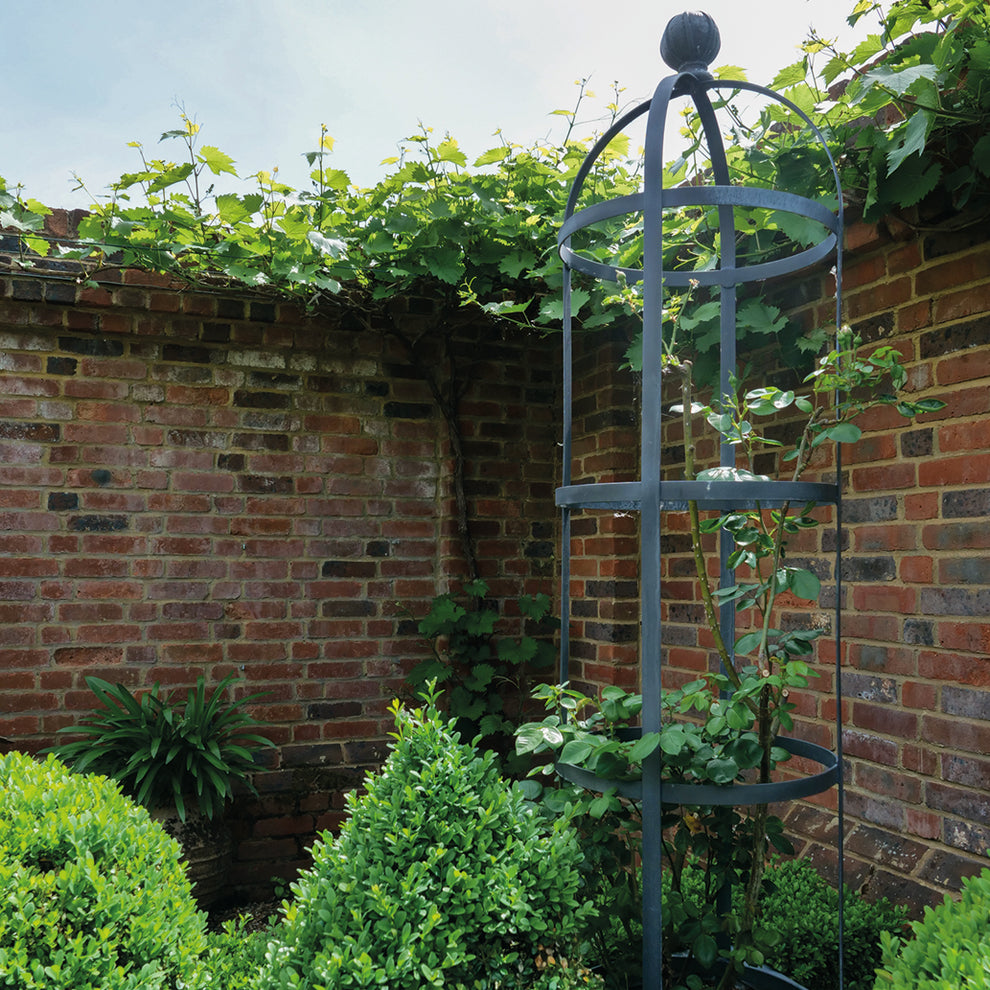 Round Galvanised Steel Obelisk Plant Support – Urban Grow UK Ltd