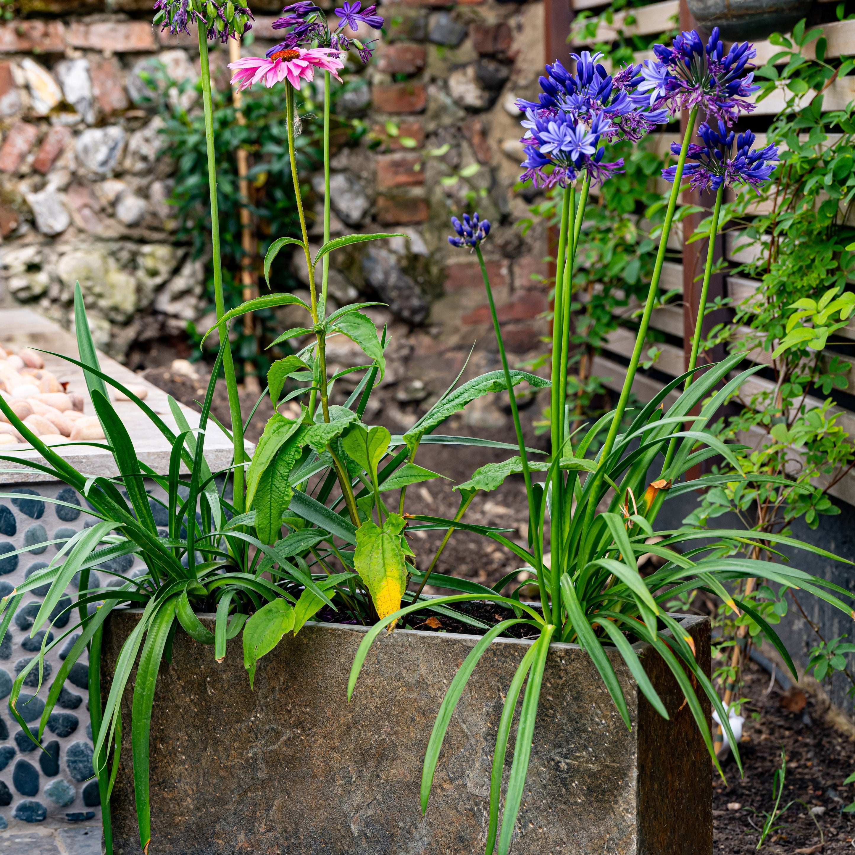 Surmi Slate Trough Planter Pair – Urban Grow UK Ltd
