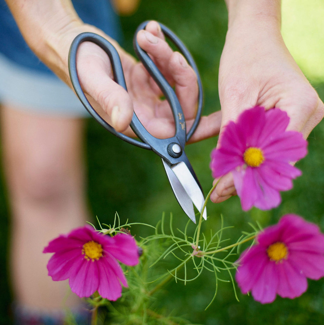 Niwaki Garden Tools – Precision Japanese Craftsmanship | Urban Grow ...